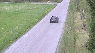 See Stranda: F60 Kjellstadlia (skifter) Live Webcam & Weather Report in ...