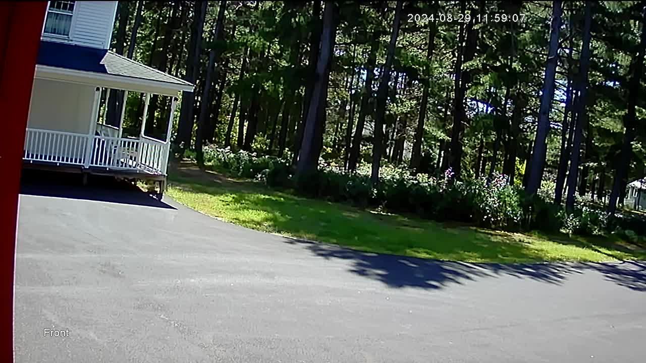 Ossipee: Carroll County Park Cam United States