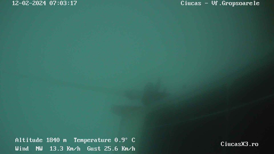 Camere web în zonă Cheia - meteoblue