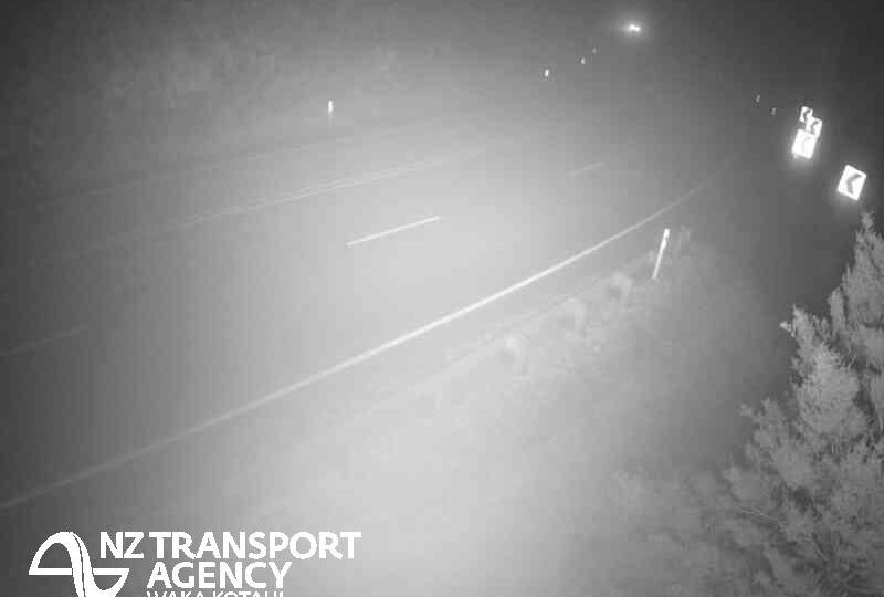 Webcams around Tauranga - meteoblue