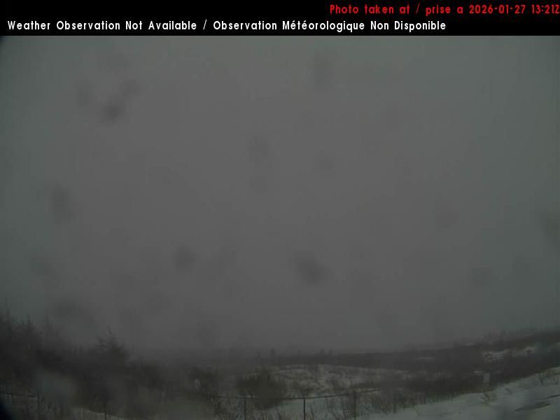 Winterland › South-West: Newfoundland and Labrador - Airport (CCC2 ...