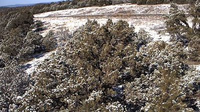 See Williams › West: I-40 WB 158.94 Live Webcam & Weather Report in ...