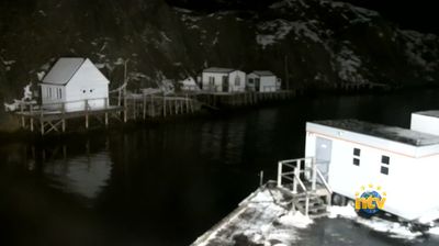 See St. John's › East Live Webcam & Weather Report in St. John's ...