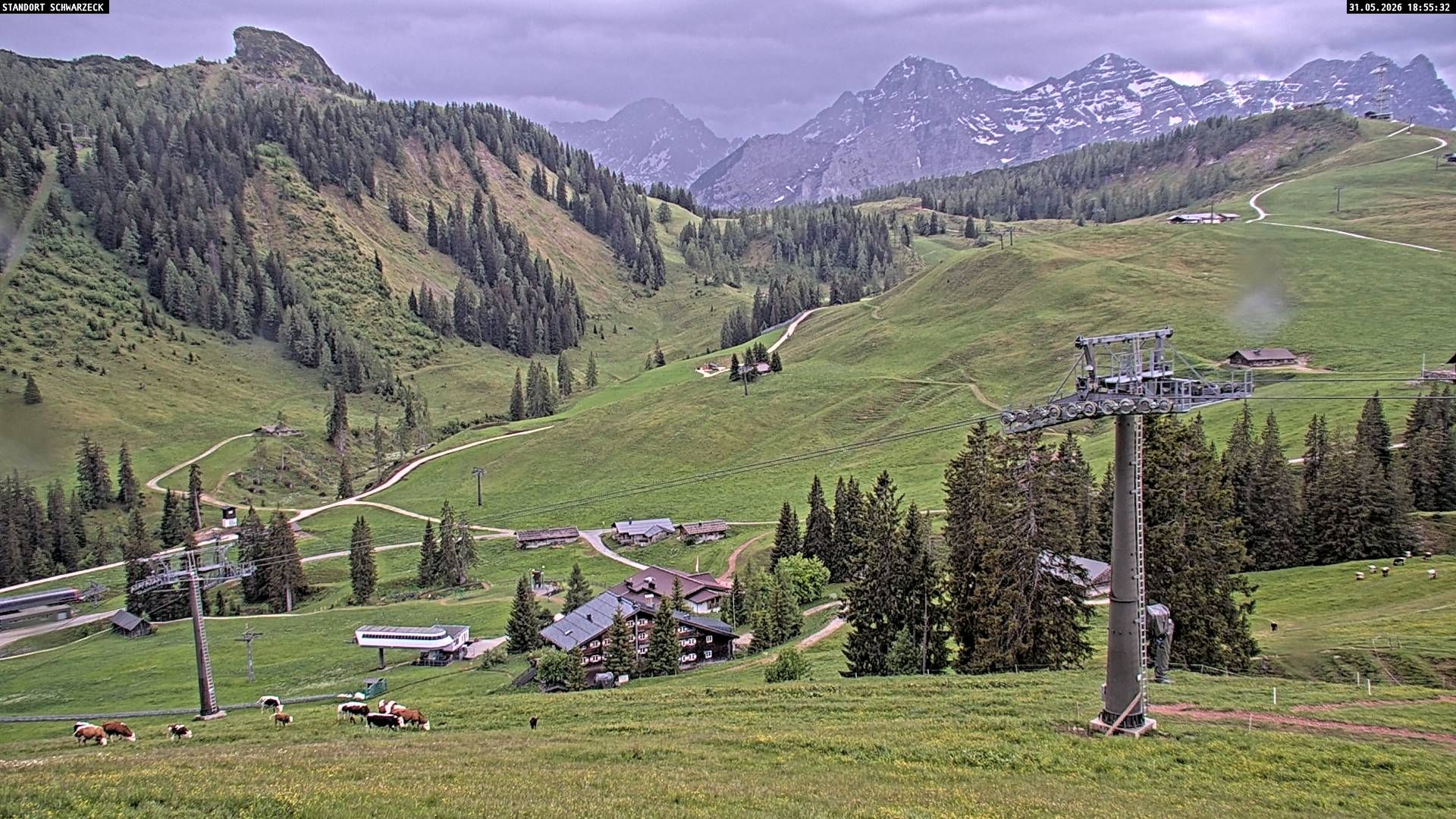 Gemeinde Unken: Lofer Alp Panorama - Loferer Alm Panorama Mountain Cam ...
