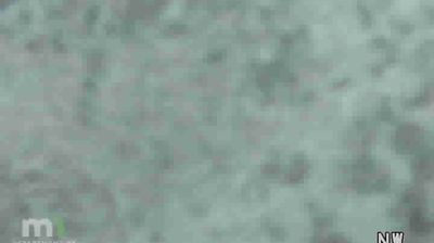 See New Trier: US 52: T.H.52 NB @ Goodwin Ave (MP 102.5) Live Webcam ...