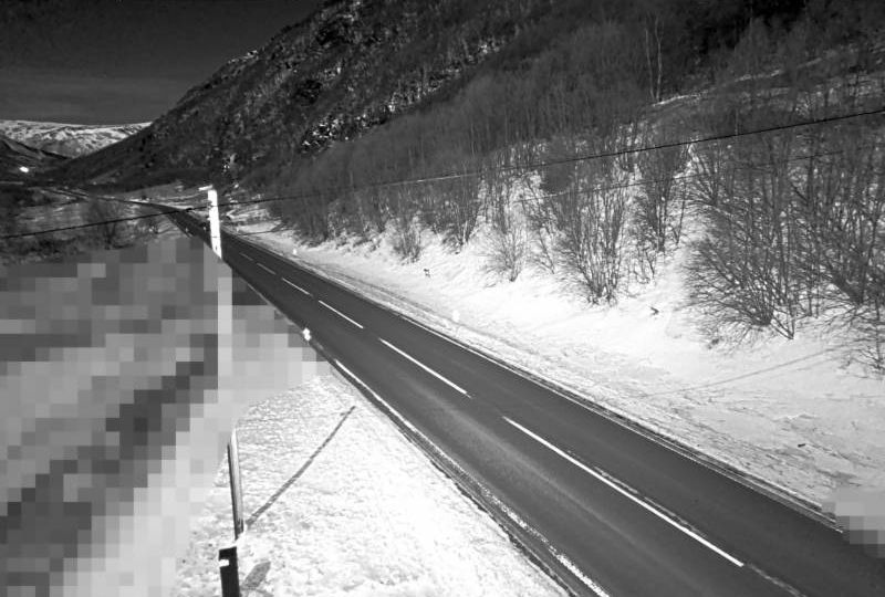 Webcams around Oppdal - meteoblue