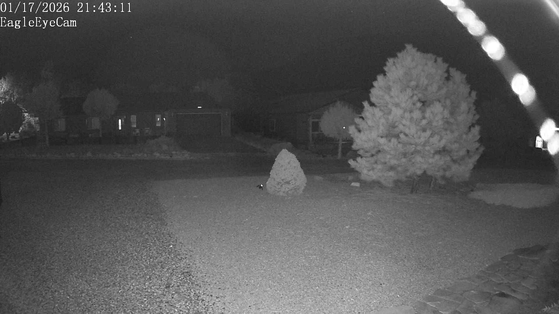 Star Valley › West Weather Cam United States