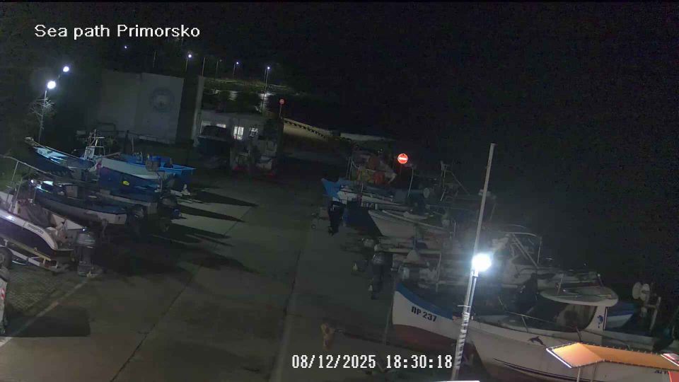 Webkamery v okolí Primorsko - meteoblue