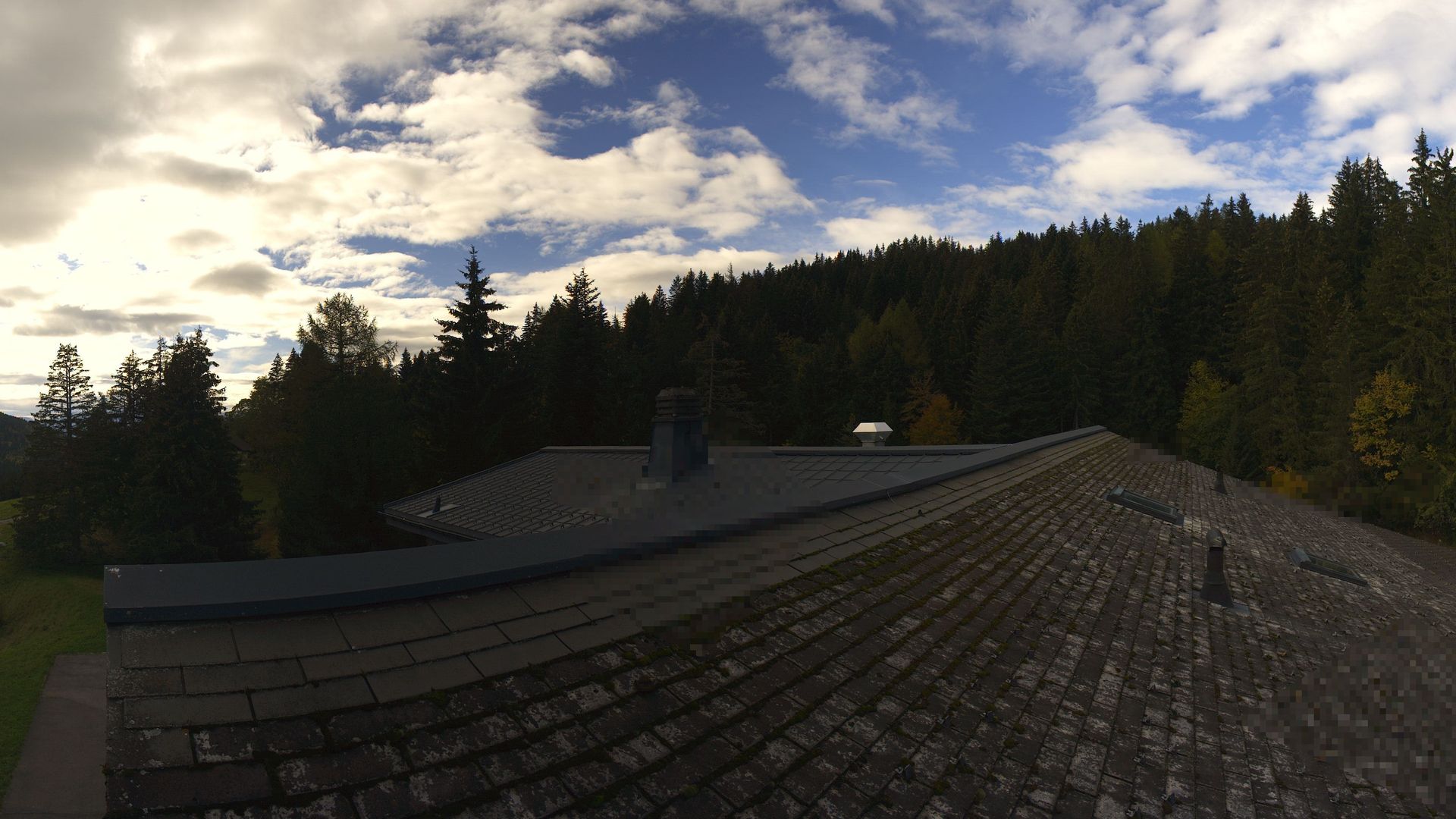 Chatel-Saint-Denis Forest Cam Switzerland