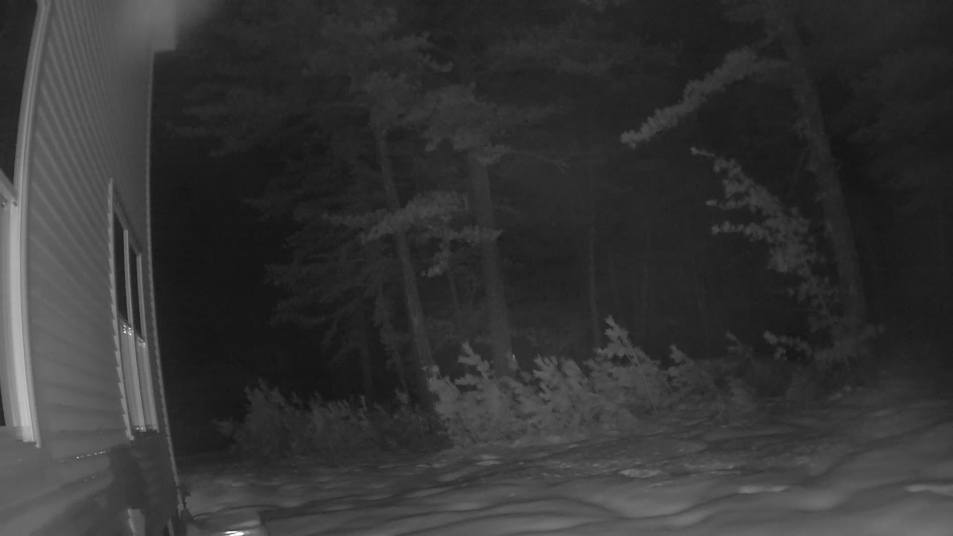 Ossipee: Carroll County Park Cam United States