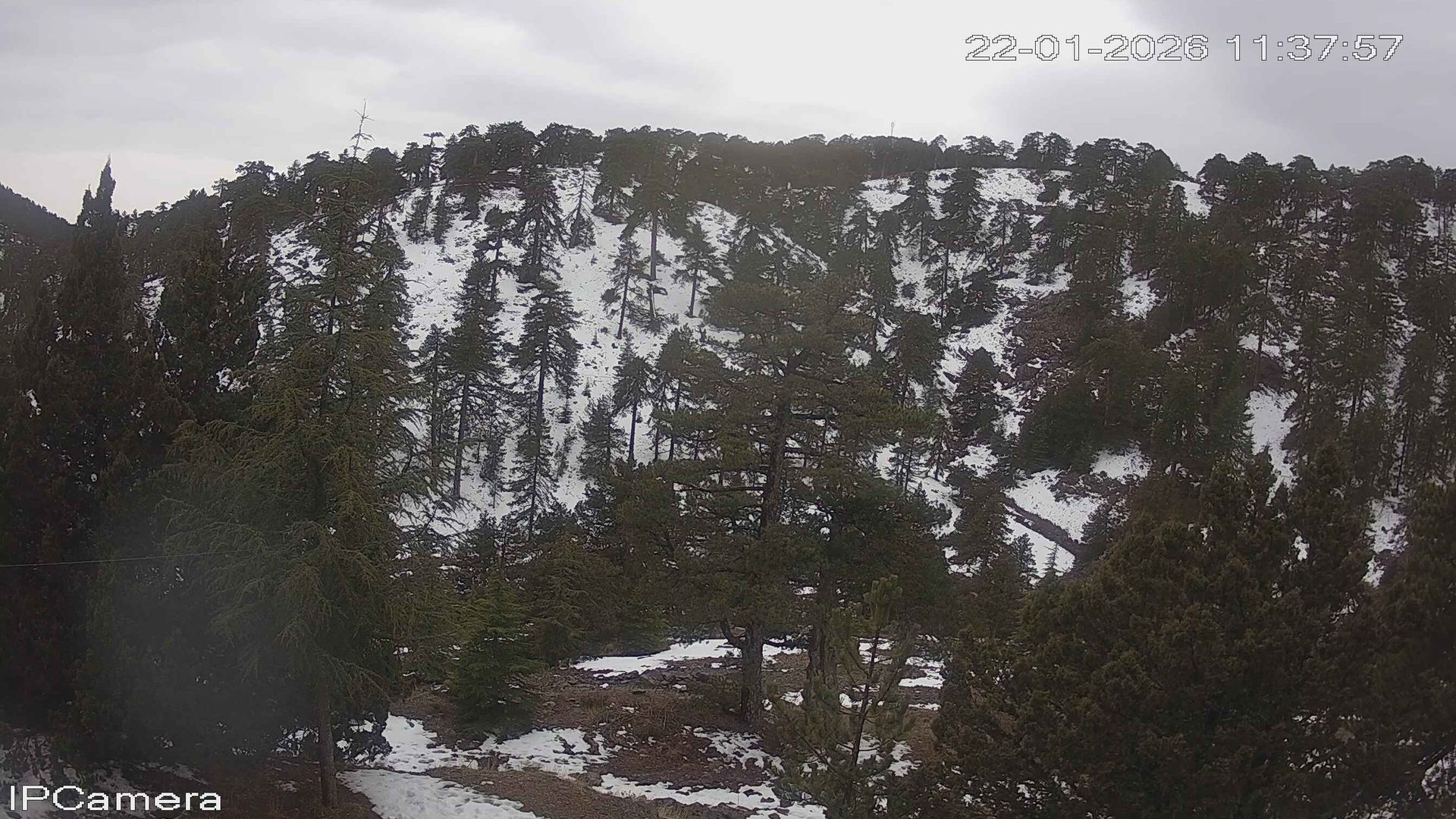 Limassol District: Troodos Mountains - Webcam